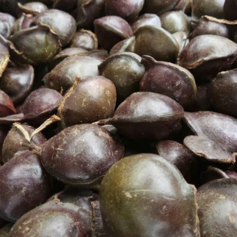 Jual Jengkol Tua Kupas dan Jengkol Tua Kulit/Jengkol lalab | Shopee ...