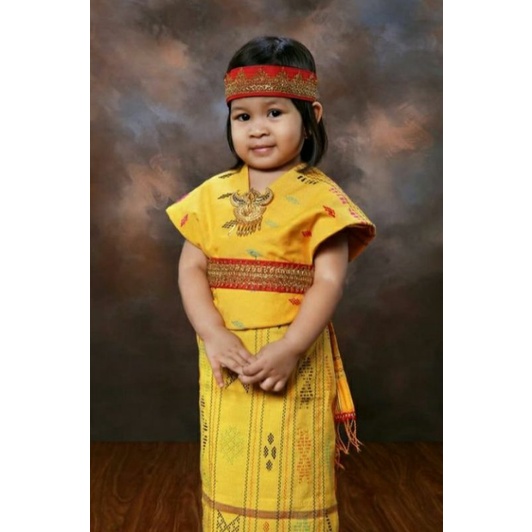 Jual Pakaian Kostum Adat Batak Anak Perempuan Baju Adat Anak Dari Ulos Sadum Batak Toba | Shopee ...