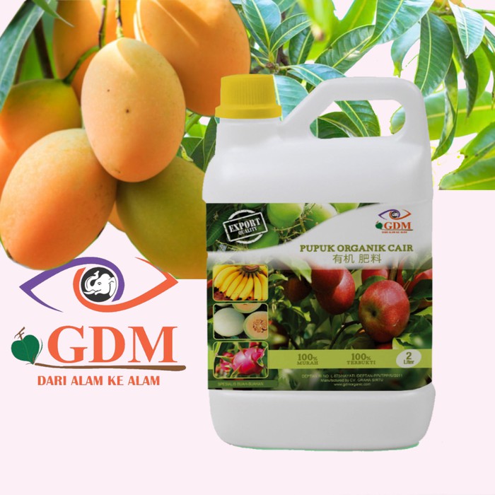 Jual Pupuk Cair Organik Untuk Pohon Buah Mangga Isi 2 Liter | Shopee Indonesia
