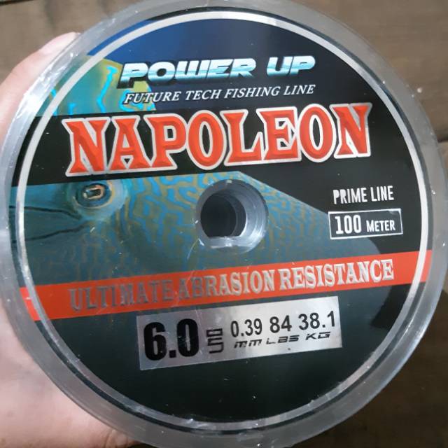 Jual Tali PE Pancing Napoleon 100M / tali mancing / tali PE | Shopee ...