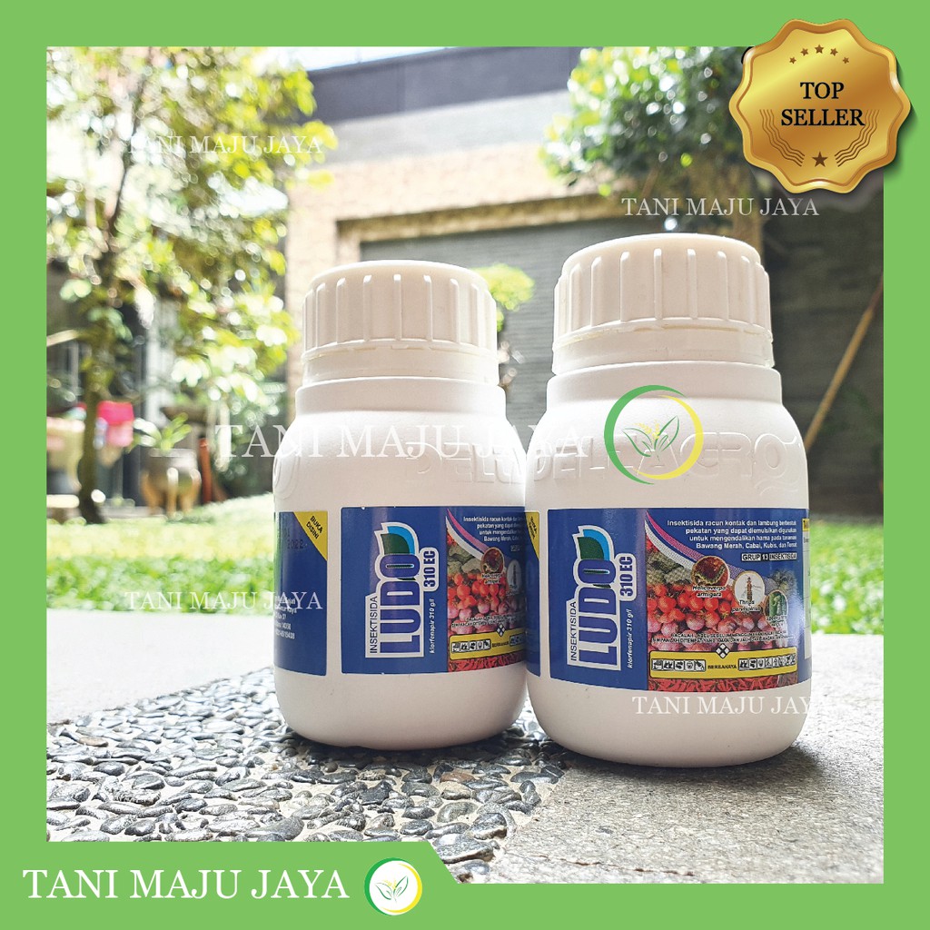 Jual Insektisida Ludo 310EC 100 ml | Shopee Indonesia