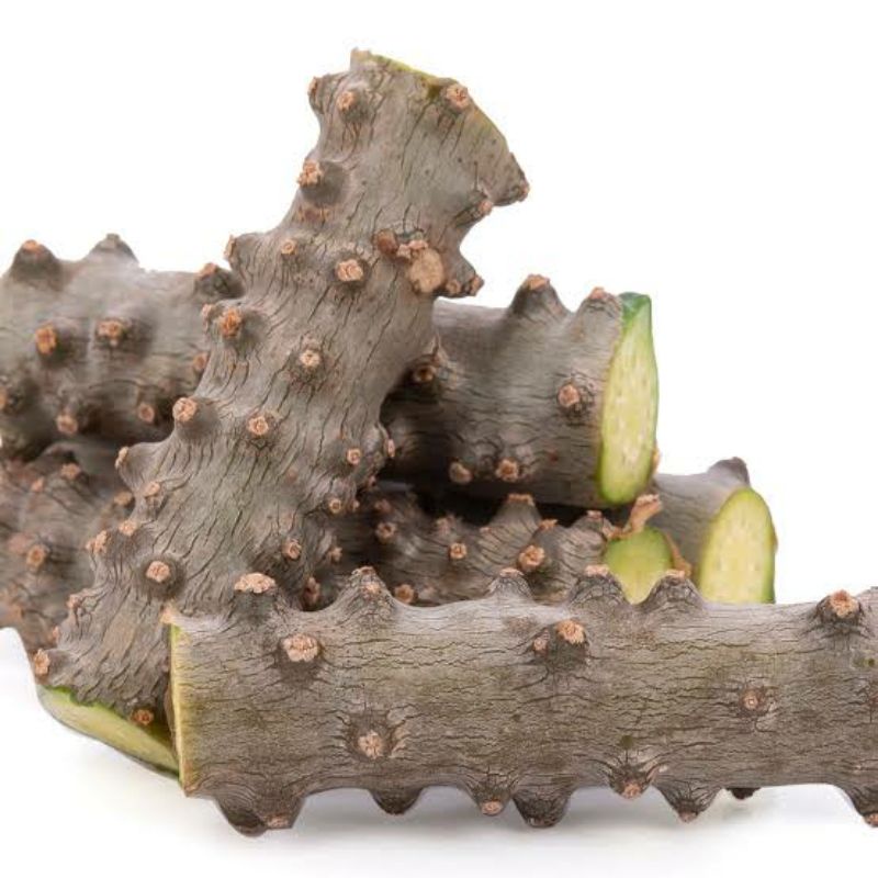 Jual Brotowali 50gr segar bratawali segar langsung di petik bisa di ...