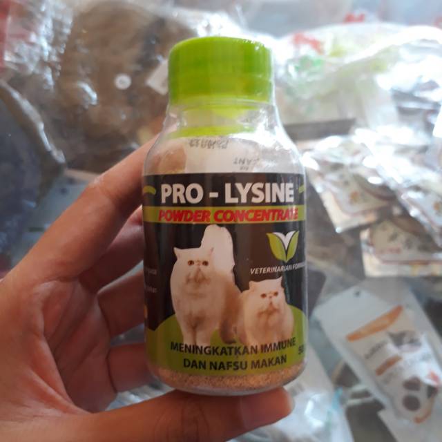 Jual PRO - LYSINE CAT 50gr / Prolysine vitamin hewan kucing | Shopee ...