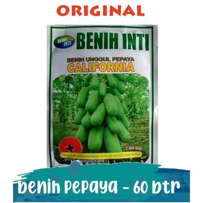 Jual Benih Pepaya California Benih Inti 1 gr isi 60 btr. | Shopee Indonesia