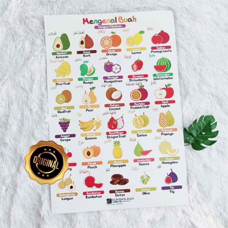 Jual Poster Mengenal Buah Dengan 3 Bahasa | Shopee Indonesia