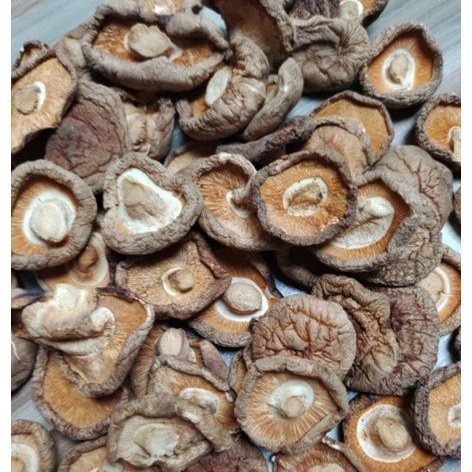 Jual Jamur Shitake / Hiuko / Siangku / Jamur Payung Kering Dried ...