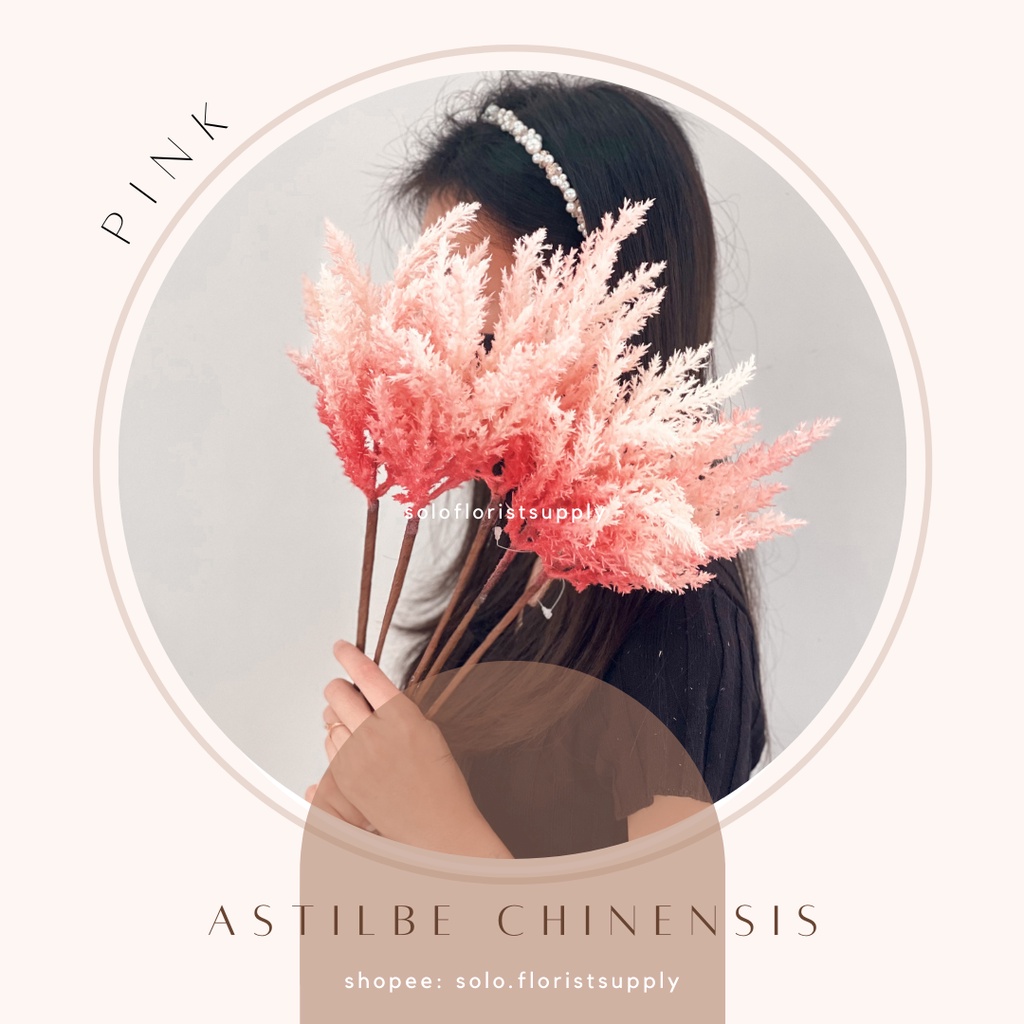 Jual ASTILBE CHINENSIS ARTIFICIAL Bunga Astilbe Tangkai Panjang ...