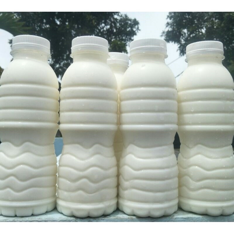 Jual susu kambing murni 100% asli kemasan 250ml / susu kambing Etawa ...