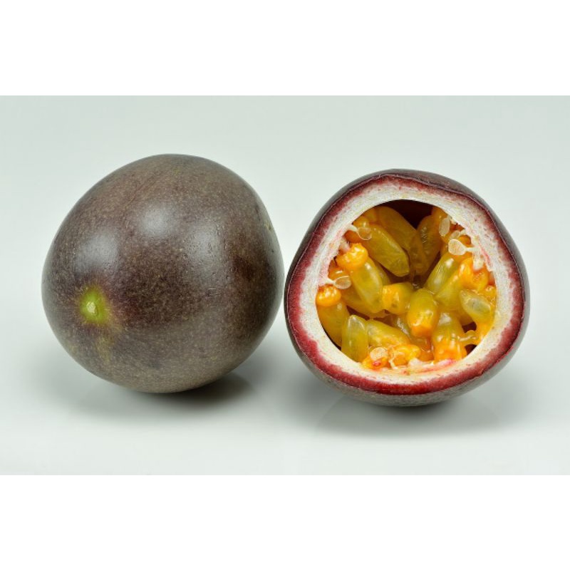 Jual Buah Markisah Hitam Berastagi | Shopee Indonesia