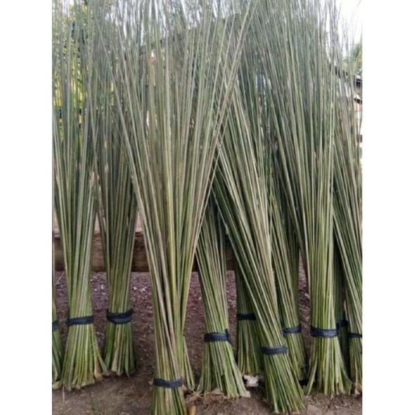Jual Sapu lidi aren per ikat, sapu lidi aren kualitas terbaik di ...