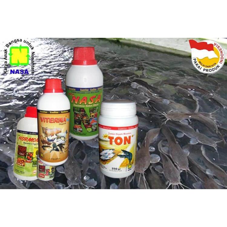 Jual Paket Budidaya Ternak Ikan Lele Nasa /Stockist Official PT Nasa | Shopee Indonesia