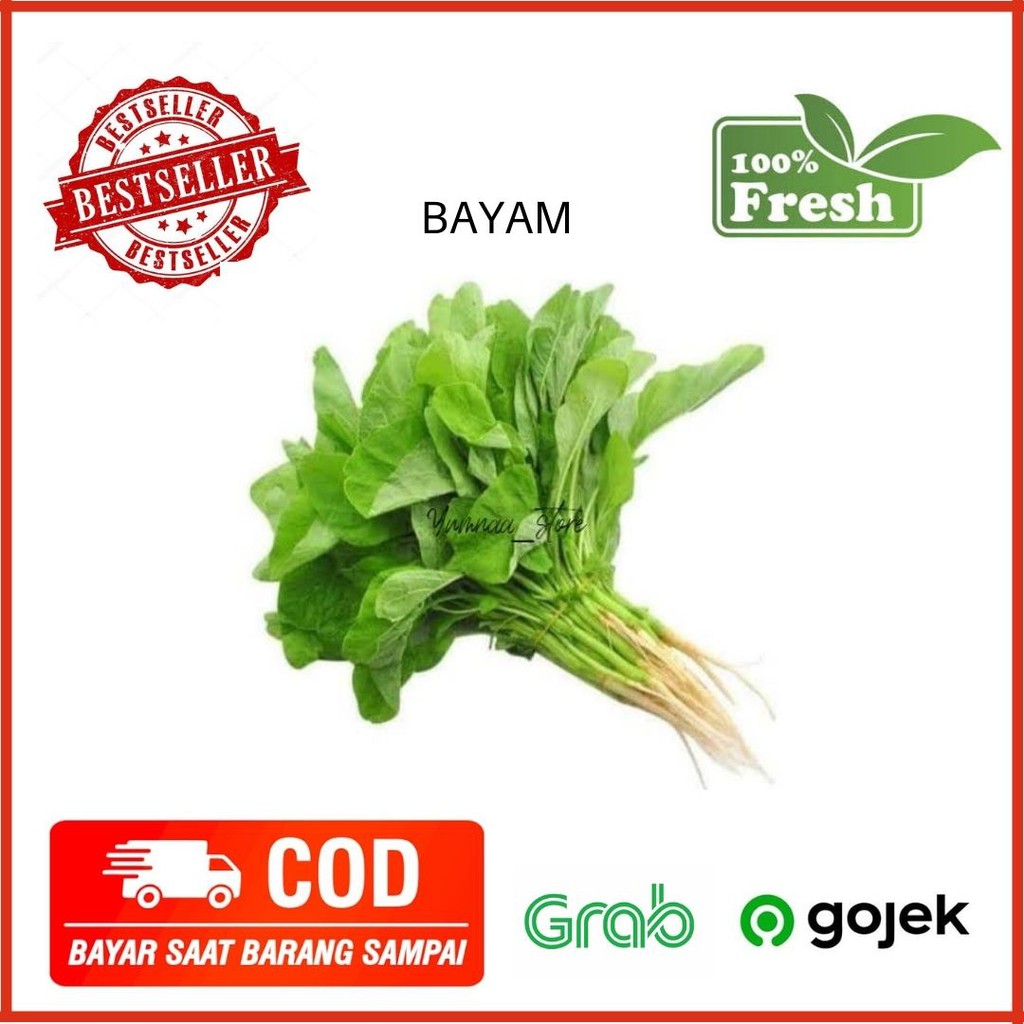 Jual Bayem / Bayam Sayur Segar Sayur Mayur Sayur Fresh Per Ikat ...