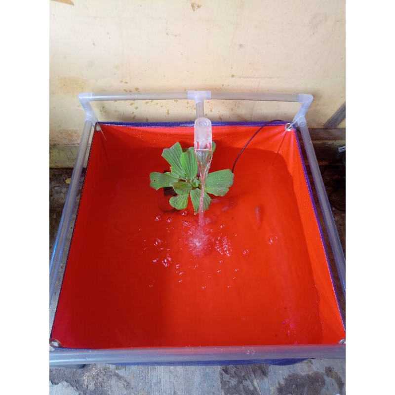 Jual kolam mini portable (terpal,rangka,pompa dan bonus filter kecil ...