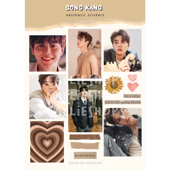 Jual AESTHETIC STICKER SONG KANG | Shopee Indonesia