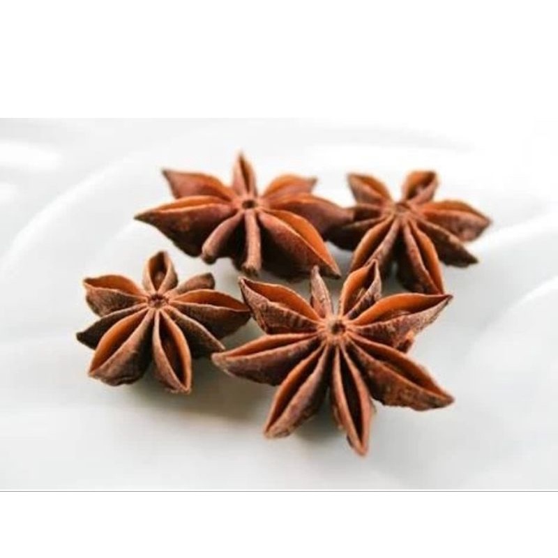 Jual Pekak 5gr /bunga pekak/bunga lawang | Shopee Indonesia