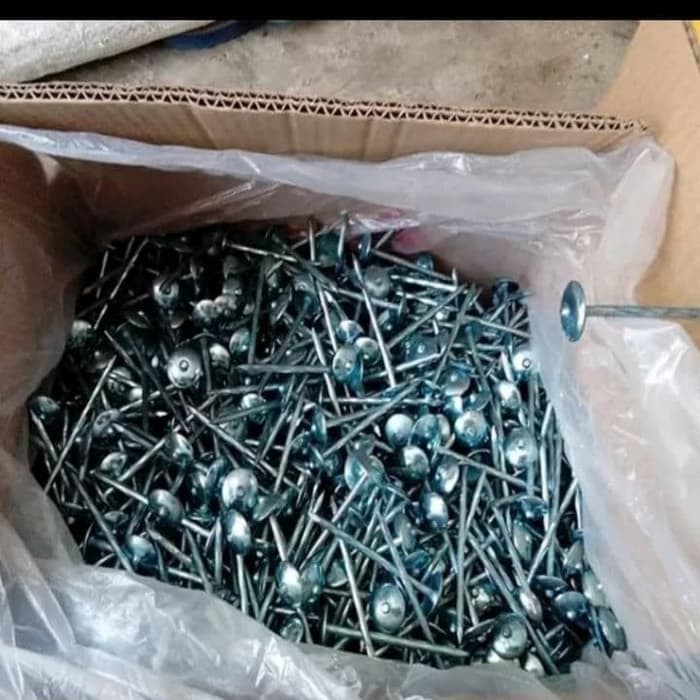 Jual PAKU PAYUNG 7 CM / PAKU SENG ASBES ULIR CURAH 3 INCH PER KG ...