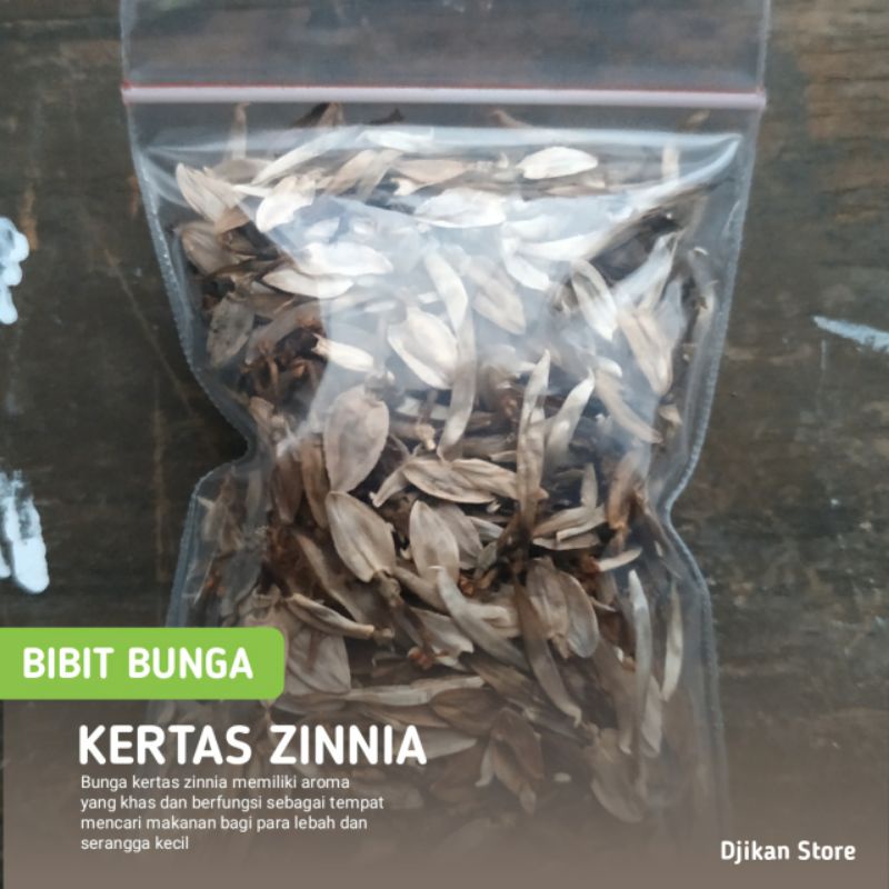 Jual Bibit bunga kertas lebih 150 biji ( warna campur merah dan putih ...