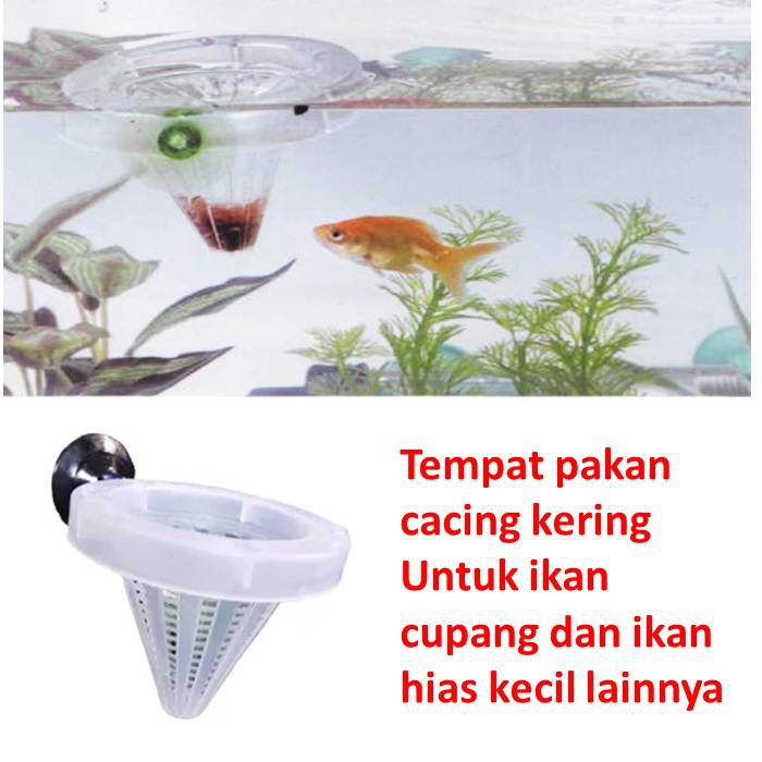 Jual tempat pakan cacing sutra untuk ikan cupang dan ikan hias kecil ...