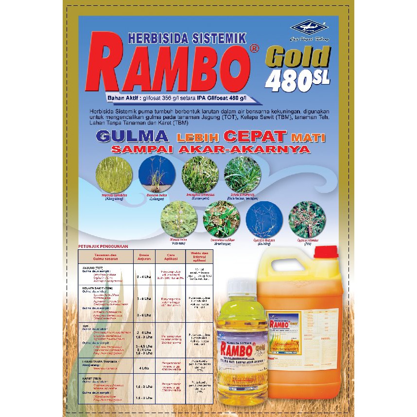 Jual Rambo Gold 5 Liter - Herbisida Racun Rumput/Gulma TERAMPUH ...