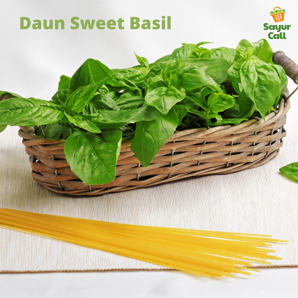 Jual Daun Basil 200-250gr | Shopee Indonesia