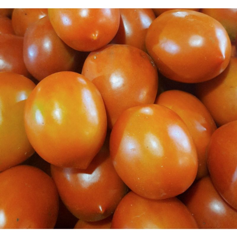 Jual Tomat Merah 500gr | Shopee Indonesia