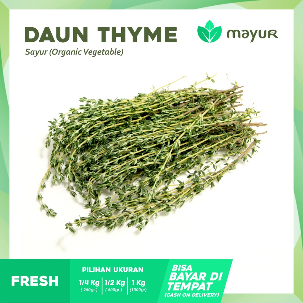 Jual Daun Thyme Segar ( 250gr | 500gr | 1 kg ) | Shopee Indonesia
