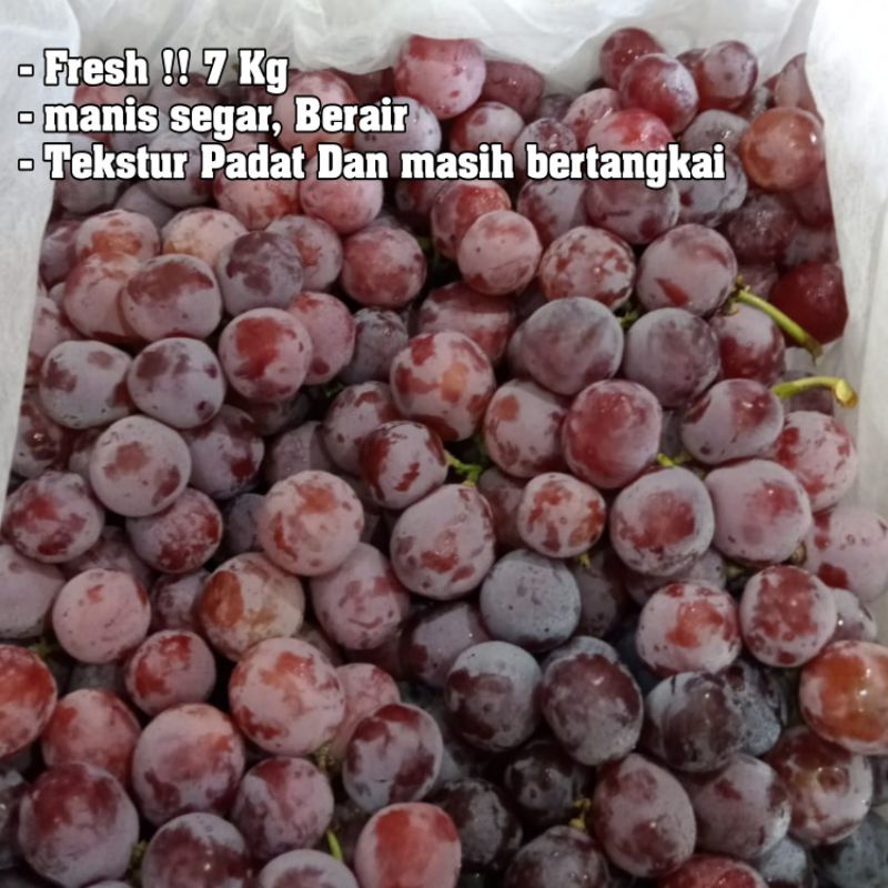 Jual BUAH ANGGUR 1 KERANJANG / BUAH ANGGUR 1 DUS BESAR ISI FRESH 7 KG ...