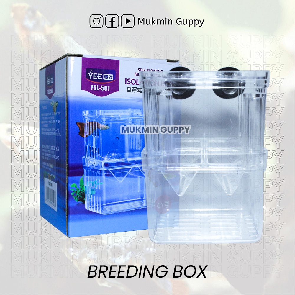 Jual Breeding Box Tempat Bersalin - Guppy, Cupang, Molly | Shopee Indonesia