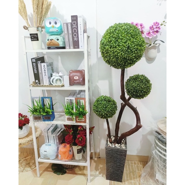 Jual POHON BONSAI / GRASBALL POHON /POHON BOLA BOLA | Shopee Indonesia
