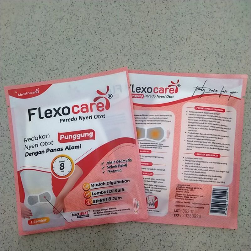 Jual Flexocare pereda nyeri otot punggung '1 lembar | Shopee Indonesia