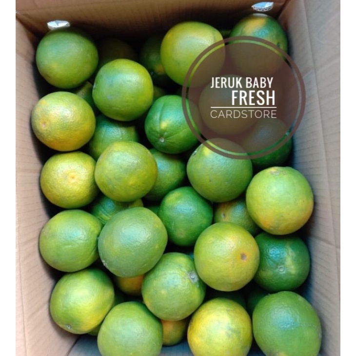 Jual Buah Jeruk Baby Manis Fresh Segar Banyak Air - 1 Kg | Shopee Indonesia