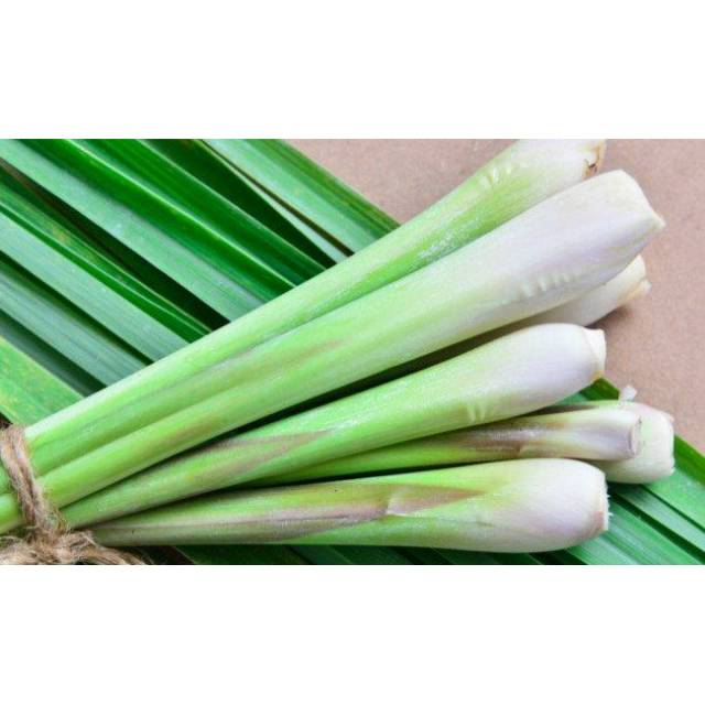 Jual Serai segar 500gram sereh sehat | Shopee Indonesia