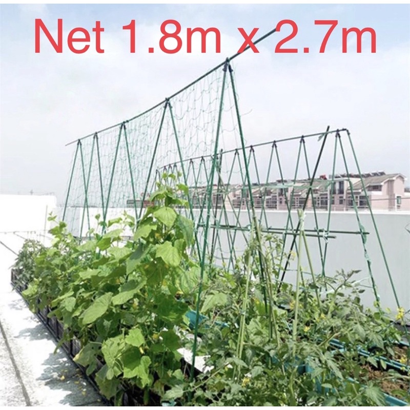 Jual Tali Jaring Net Rambatan 1.8m X 2.7 Meter Tanaman Rambat Bunga ...
