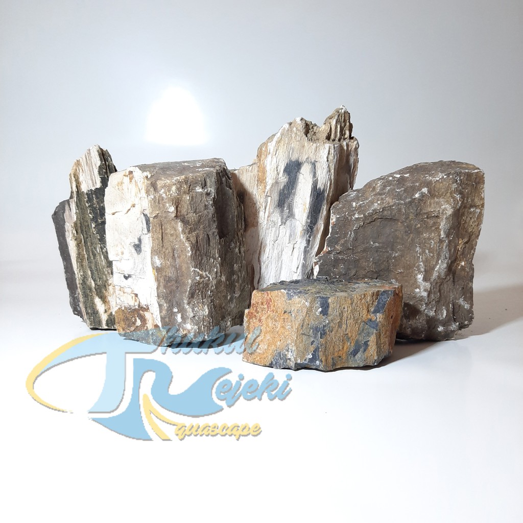 Jual Fossil Stone Batu Fosil Stone Grade A Aquascape | Shopee Indonesia