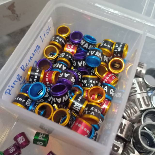 Jual Ring Burung LB MURAI KACER KENARI KORIBRI Lovebird | Shopee Indonesia