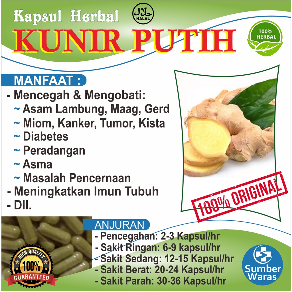 Jual KUNYIT PUTIH / KUNIR PUTIH 50 KAPSUL / ASAM LAMBUNG | MAAG GERD ...