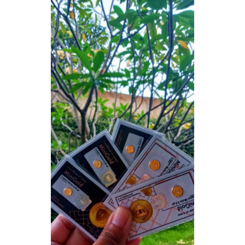 Jual Mini Gold 0,05 Gram,Logam Mulia 24K,Investasi emas | Shopee Indonesia