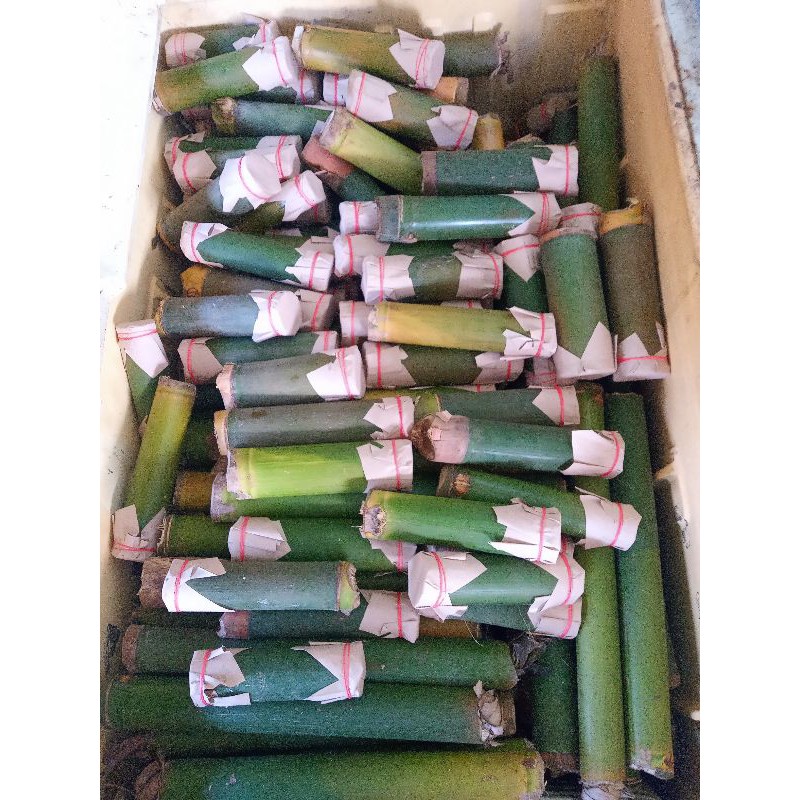 Jual ulat Bambu isi 40 + Bonus 5-10 ulat ,mahon baca deskripsi sblom ...