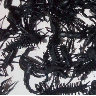 Jual TGA Fun Toys Insect ISI 10 MIX Mainan Prank Karet 7 Macam Serangga ...