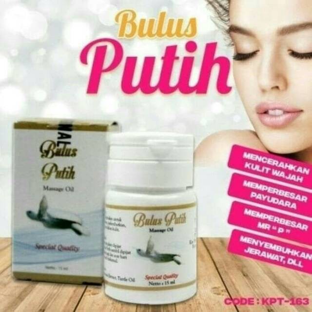 Jual Minyak Bulus Putih Asli ber BPOM - Oil Wanita dan Pria - Asli ...
