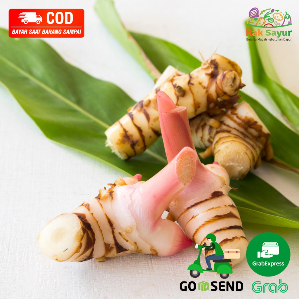 Jual Lengkuas Laos 250gr Bumbu Dapur Masak Masakan Sayur Fresh Rak ...