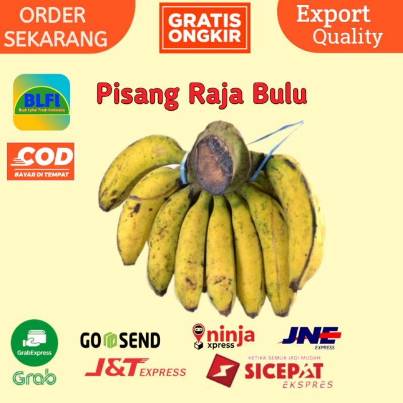 Jual PISANG RAJA BULU PER SATU SISIR | Shopee Indonesia