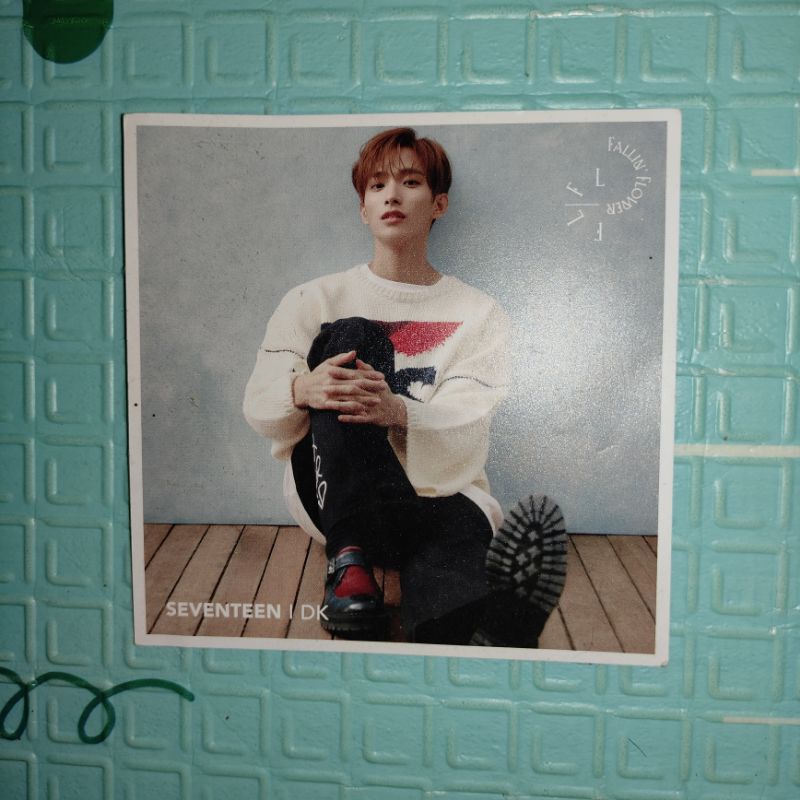 Jual ENTRY CARD DK SEVENTEEN (SVT) FALLIN FLOWER | Shopee Indonesia