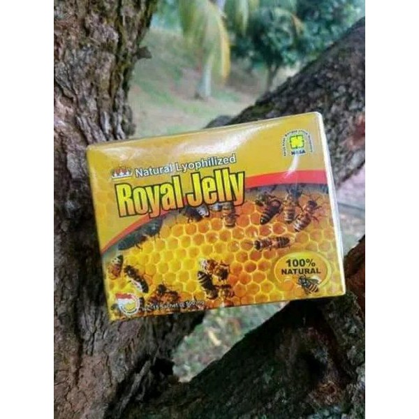 Jual Natural Royal Jelly NASA - 100% ORI NASA - Menjaga Kekebalan Tubuh ...