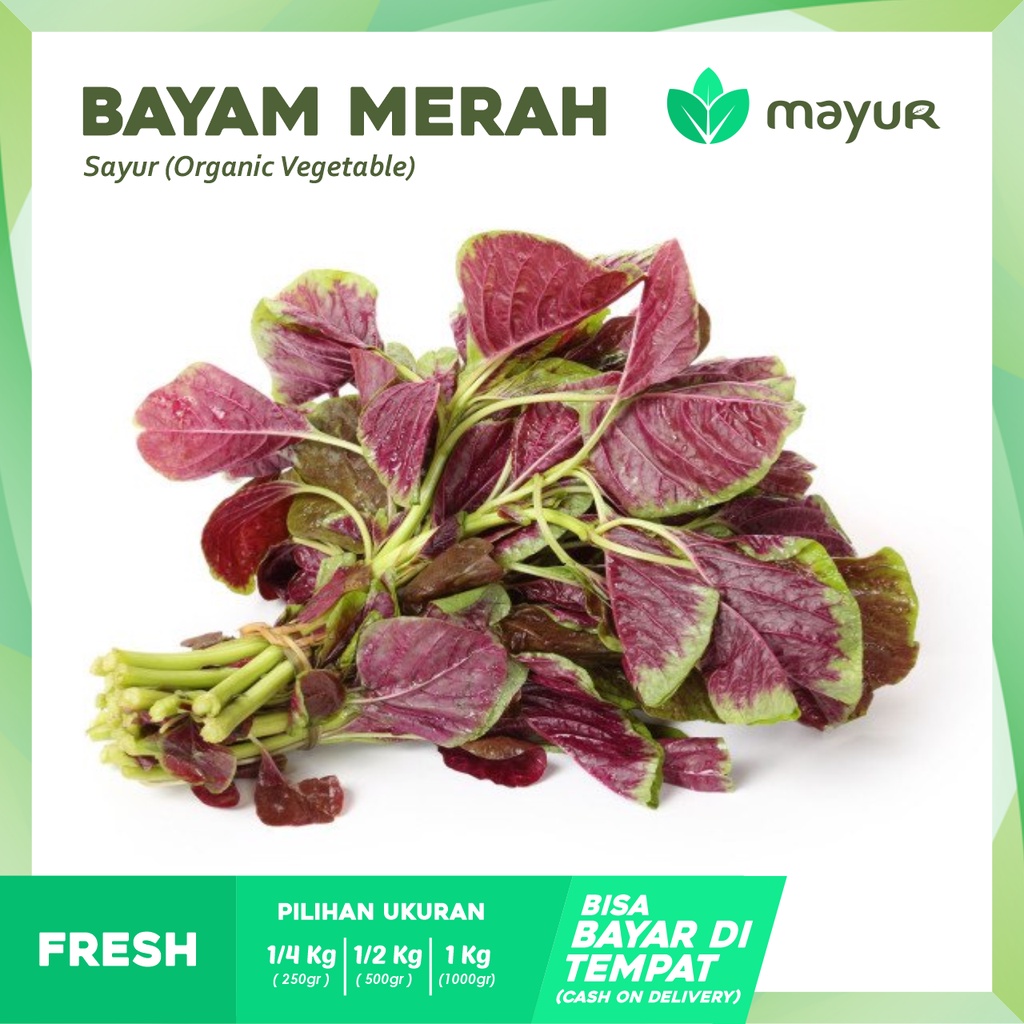 Jual Bayam Merah Segar ( 250gr | 500gr | 1kg ) | Shopee Indonesia