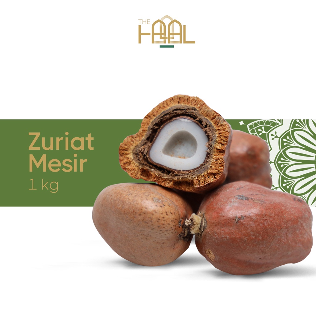 Jual Buah Zuriat Mesir 1 Kg / Zuriat / Zuriyat Doum Promil Original ...