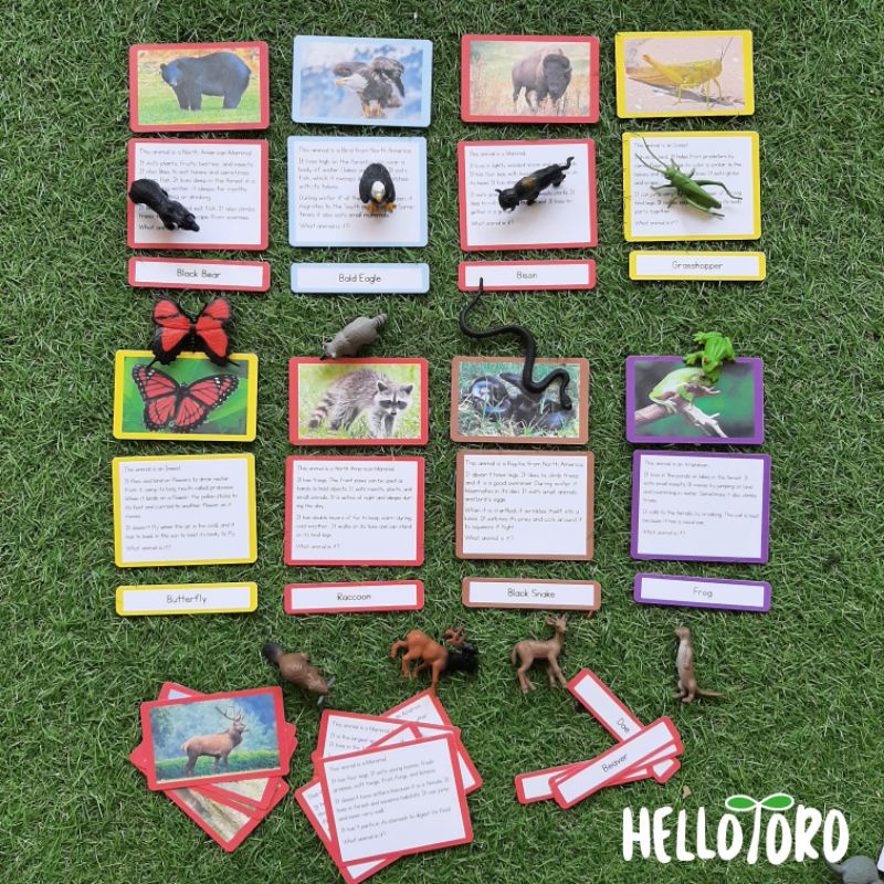 Jual Animal Picture Card + Who Am I Hewan Montessori Culture | Shopee ...