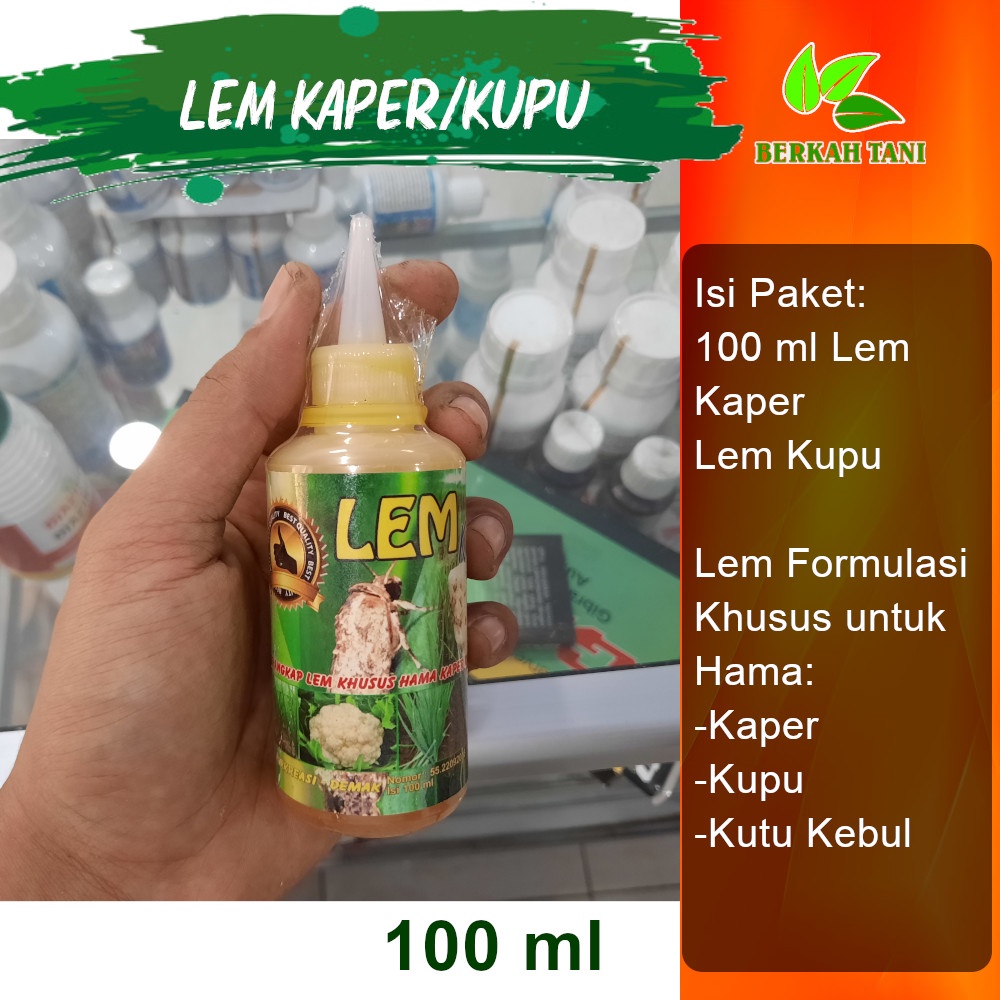 Jual Lem Kaper 100 ml Lem Kupu | Shopee Indonesia