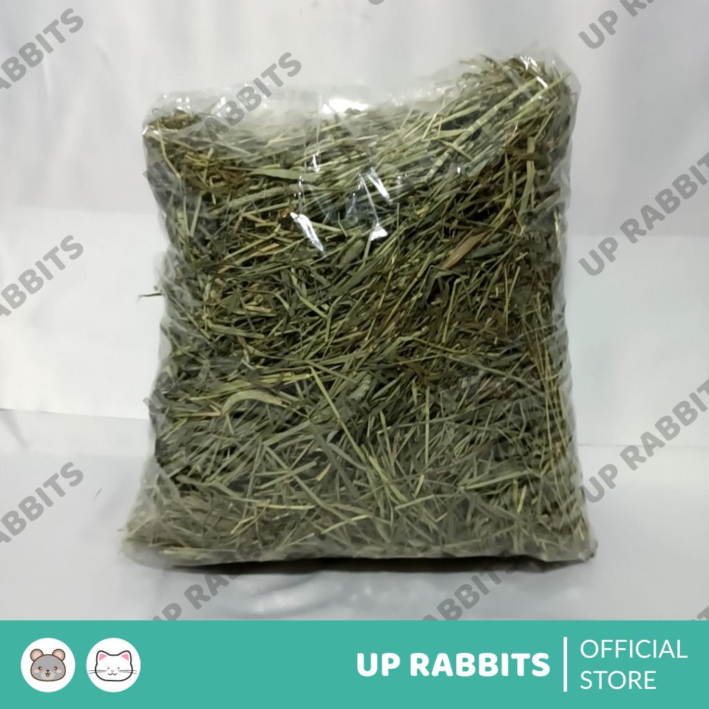 Jual makanan kelinci Rumput hay TIMOTHY dan ORCHARD 100gr | Shopee ...