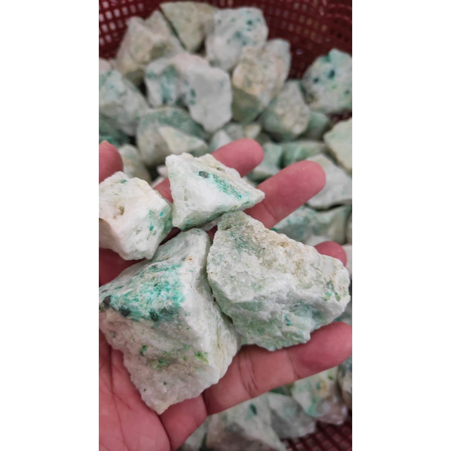 Jual Natural Chrysocolla Phoenix Pine Stone Rough 3-5 cm paket 1 kg ...